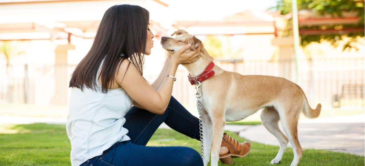 7 Cute Ways to Make Money with Your Dog (or Cat) - DollarSprout