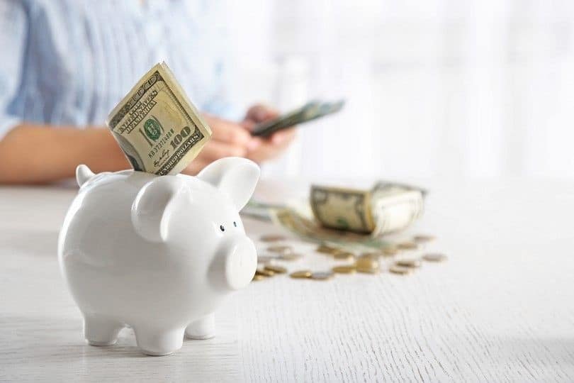 Top 10 Brilliant Money Saving Tips For When You re On A Tight Budget Top 10 Brilliant Money Saving Tips For When You re On A Tight Budget